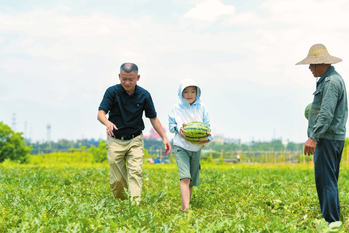 海口日报数字报·海口网