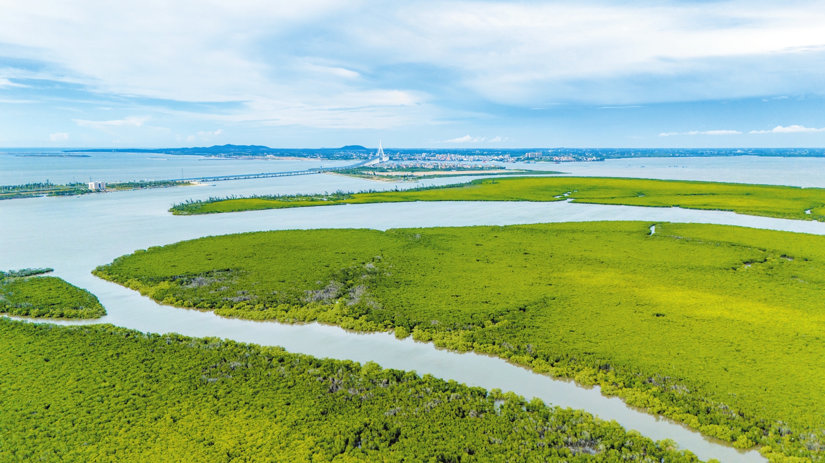 海口日报数字报·海口网